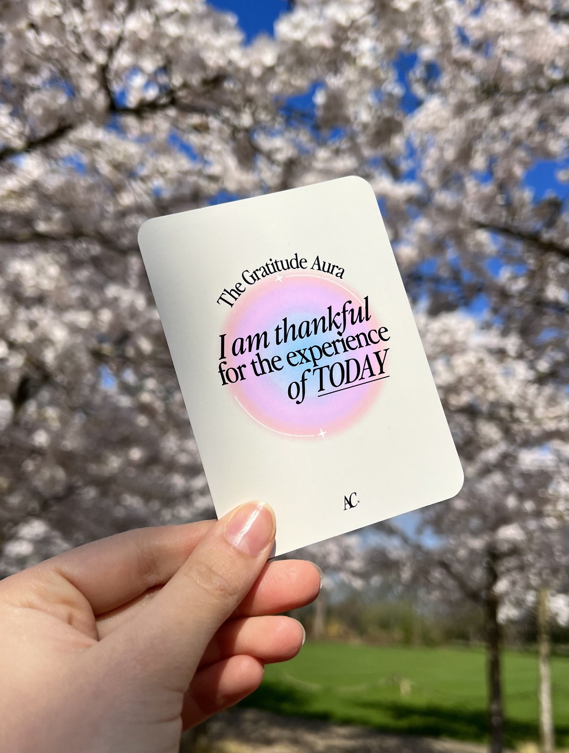 The Daily Aura Deck – Affirmed Collective